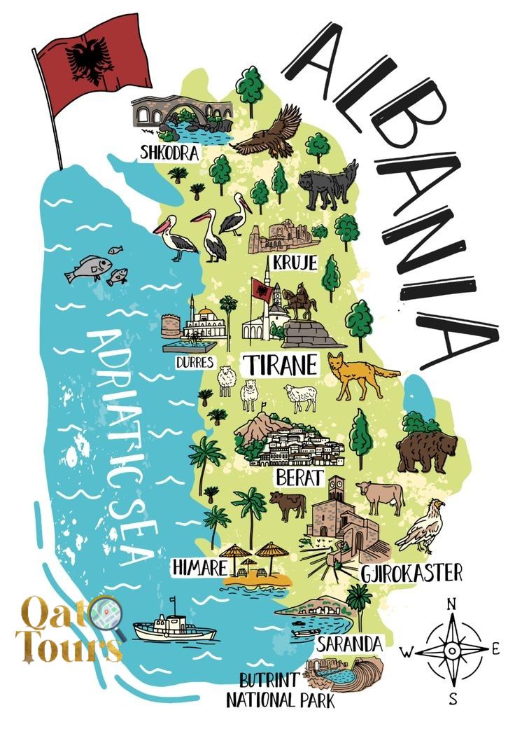 Qato Tours – Where Every Trip Tells a Story